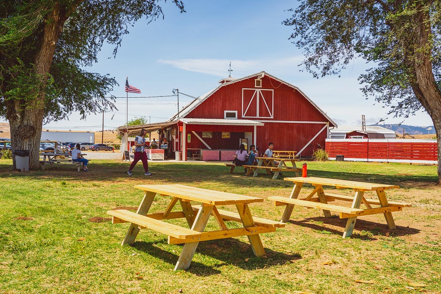 A little about our farm! – Farmer's Daughter Produce